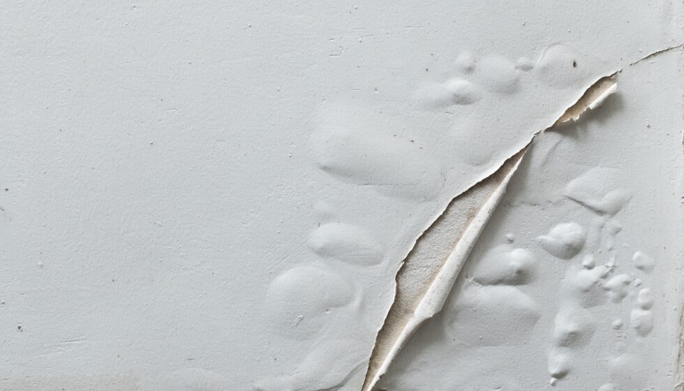 Essential Steps to Prevent Paint Failure | Absolute Painting